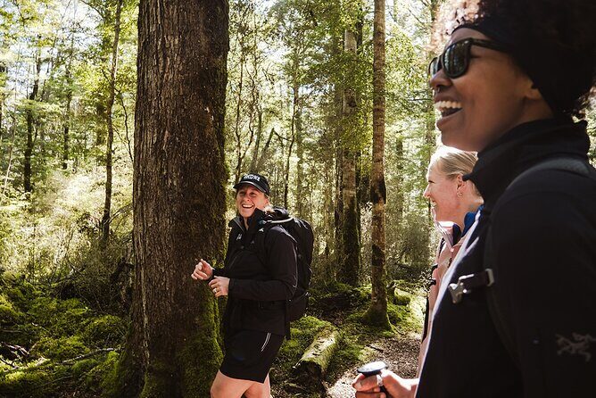 Scenic Helicopter & Kepler Guided Hike from Te Anau with Lunch - Key Points