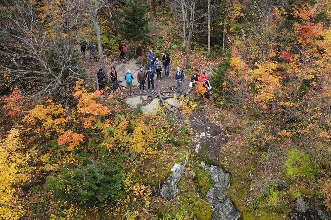 Scenic Hiking Adventure at Mont-Orford National Park - The Value of the Experience