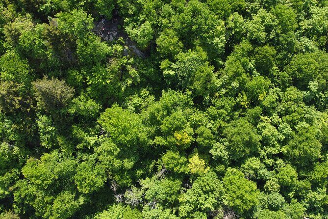 Scenic Hiking Adventure at Mont-Orford National Park - Why You Should Consider This Tour