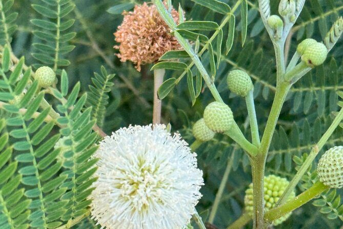 Scenic Hiking Trail Adventure of Montserrat - FAQ