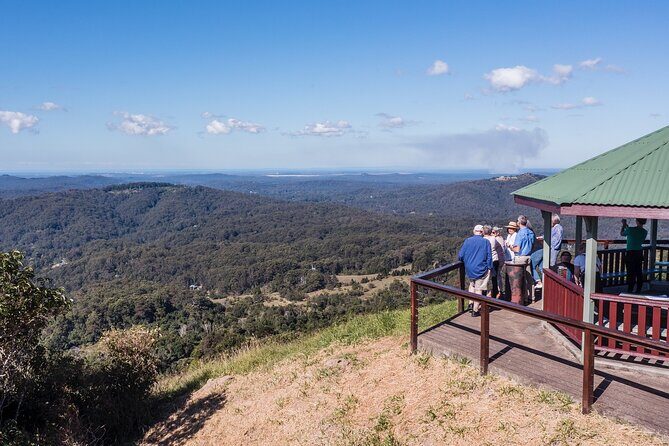 Scenic Hinterland Guided Day Tour Inc Lunch, Tastings From Noosa - The Itinerary Breakdown: What You Can Expect