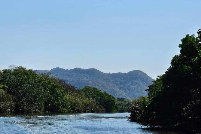 Scenic & Historical Nature Boat Safari Up the Negril River - In-Depth Review of the Negril River Boat Safari