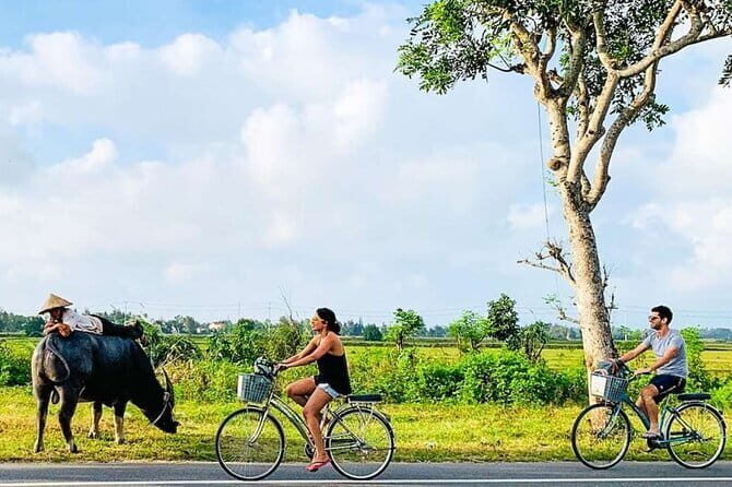 Scenic Hoi An: Private Bike Journey Through the Countryside - Key Points