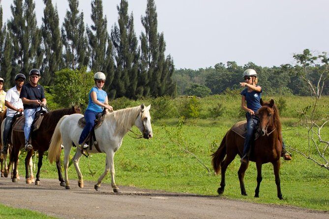 Scenic Horseback Riding Tour from San Juan - An In-Depth Look at the Horseback Riding Experience