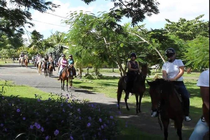 Scenic Horseback Riding Tour from San Juan - The Sum Up