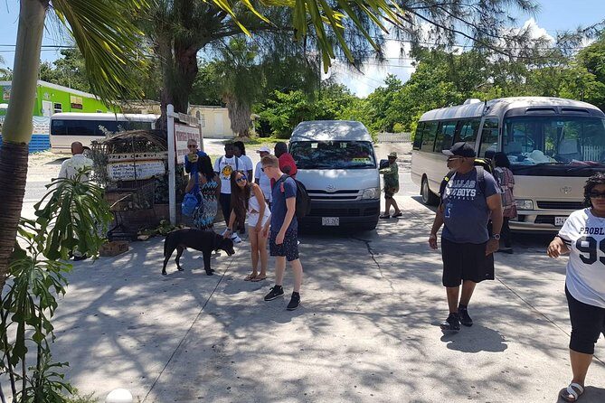 Scenic Island Private Tour - Exploring the Scenic Island Private Tour in Grand Cayman