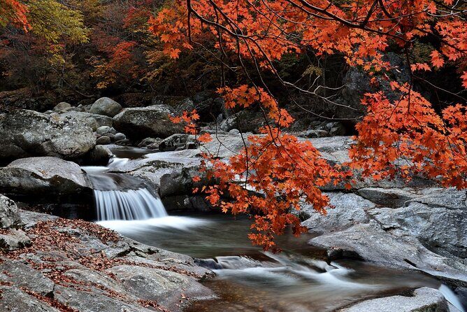 Scenic Jiri Mountain Autumn Foliage One Day Tour from Busan - The Itinerary in Detail