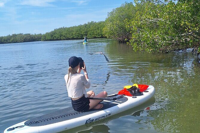 Scenic Mangrove Tunnel Paddle Tour  New Smyrna Beach - Authentic Experiences and Reviews
