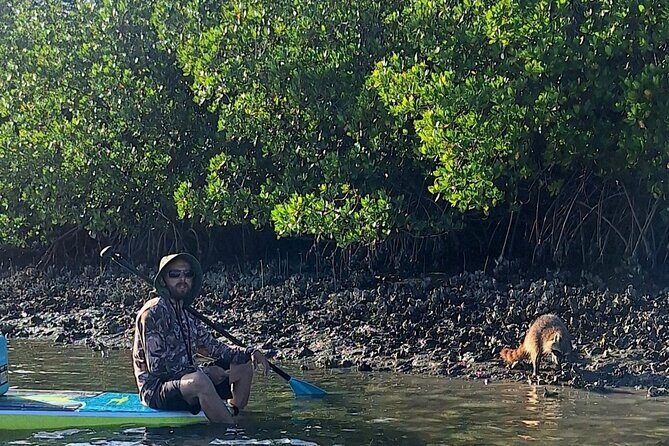 Scenic Mangrove Tunnel Paddle Tour  New Smyrna Beach - Who This Tour Is Best For