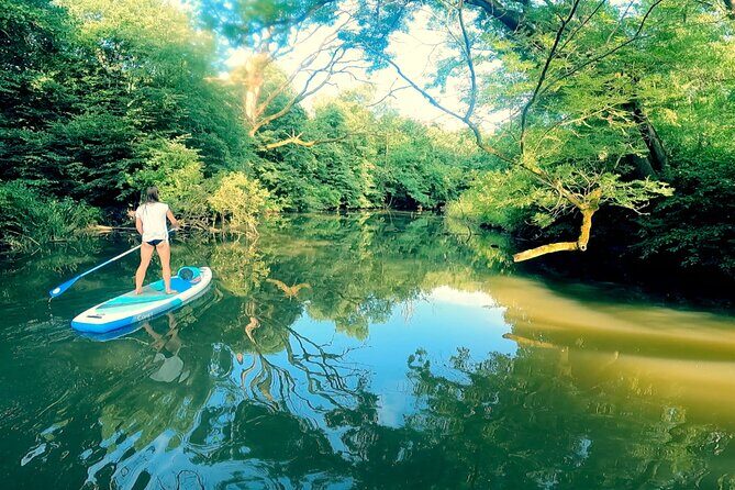 Scenic Paddleboarding Adventure: Nové Mlýny to Lednice - Introduction: An Exciting Way to See South Moravia