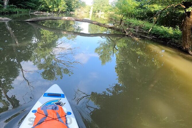 Scenic Paddleboarding Adventure: Nové Mlýny to Lednice - Key Points