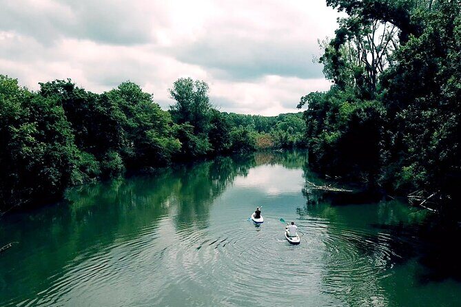 Scenic Paddleboarding Adventure: Nové Mlýny to Lednice - The Sum Up: Is It Worth Your Time?