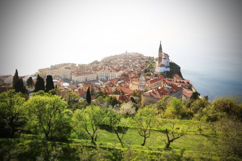 Scenic Piran Parks: Boutique Tour & Stunning Views - The Sum Up