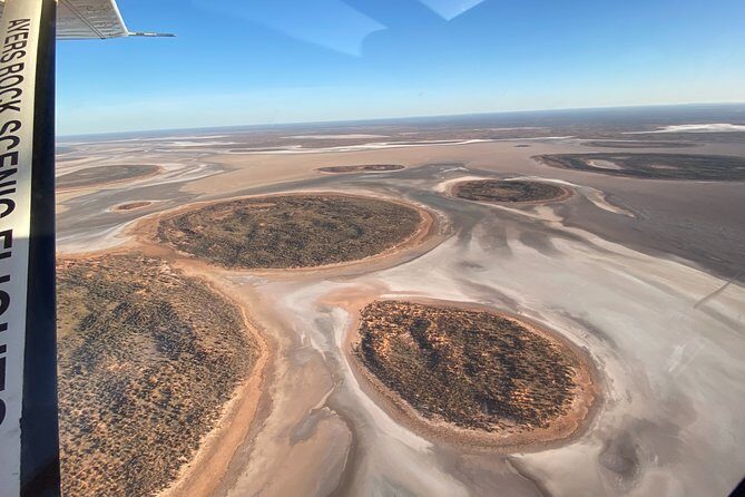 Scenic Plane Flight: Lizard Safari - A Closer Look at the Experience