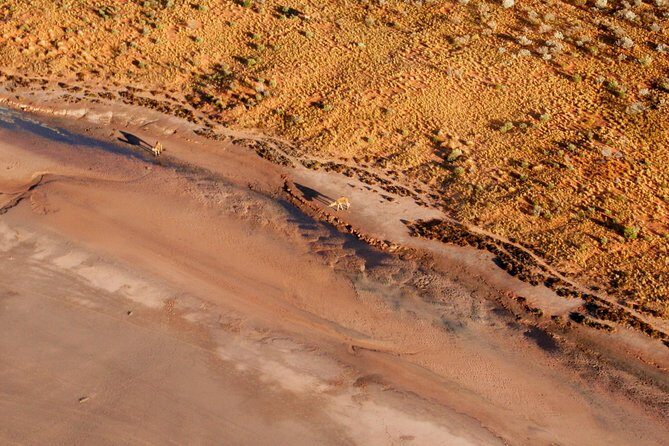 Scenic Plane Flight: Lizard Safari - The Sum Up