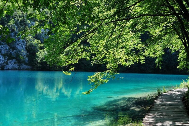 Scenic Plitvice Lakes Day Trip from Split - The Booking and Cost Considerations