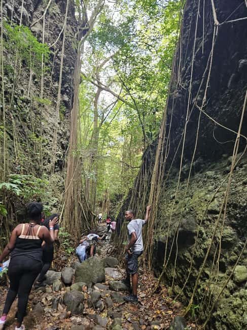 Scenic Rainforest Hike & Snacks - Key Points