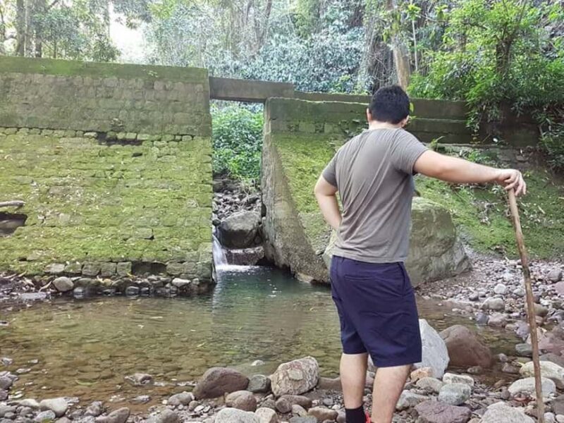 Scenic Rainforest Hike & Snacks - Final Thoughts