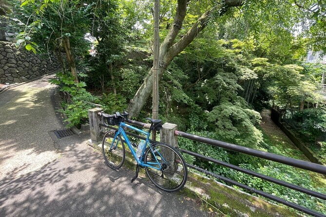 Scenic Riverside Ride in East Kyoto - Who Should Book This?