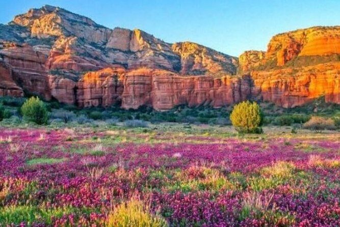 Scenic Sedona Tour - Potential Drawbacks