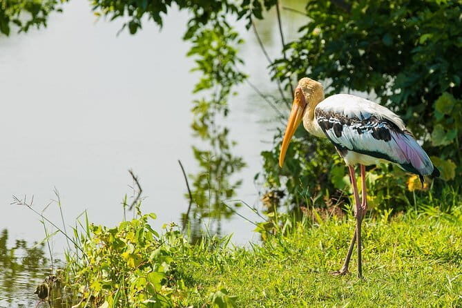 Scenic Serendib (11 Days) - FAQ