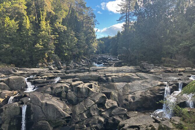 Scenic Short Hike Tour - Papamoa Hills and McLaren Falls - What to Expect from the Scenic Short Hike Tour