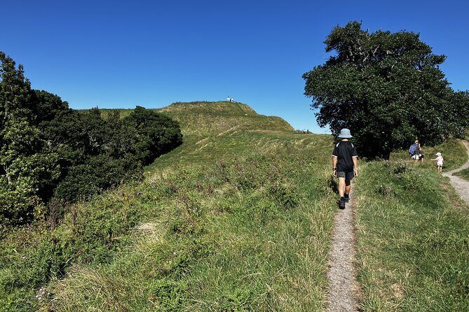 Scenic Short Hike Tour - Papamoa Hills and McLaren Falls - McLaren Falls Park – A Serene Waterfall Escape