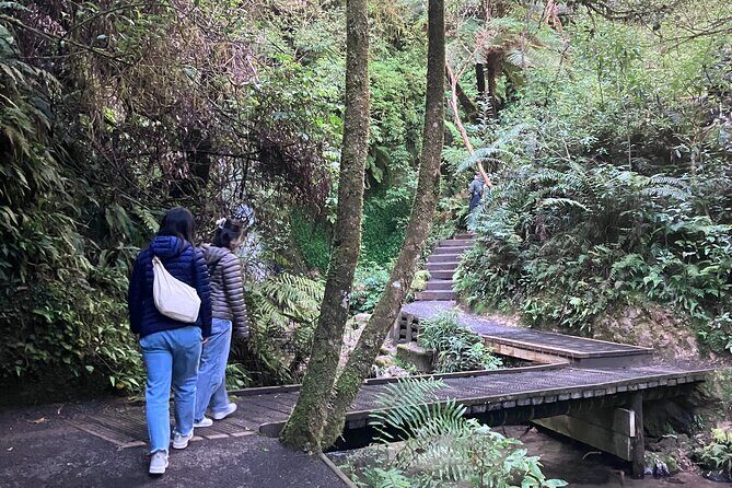 Scenic Short Hike Tour - Papamoa Hills and McLaren Falls - What’s Included and What’s Not