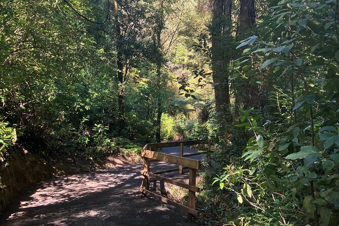 Scenic Short Hike Tour - Papamoa Hills and McLaren Falls - The Practicalities: Group Size, Timing, and Accessibility