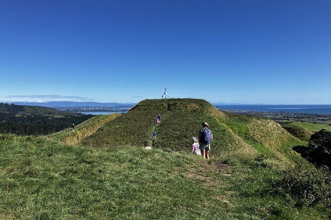 Scenic Short Hike Tour - Papamoa Hills and McLaren Falls - Authentic Experiences and Traveler Feedback