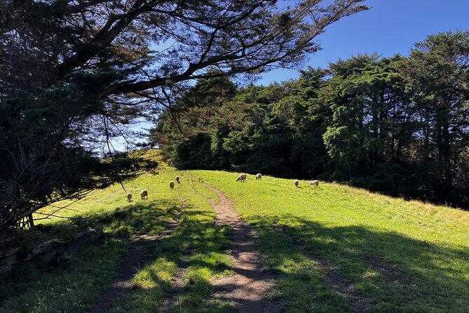 Scenic Short Hike Tour - Papamoa Hills and McLaren Falls - Analyzing the Value of This Tour