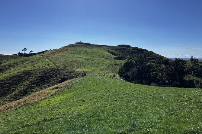 Scenic Short Hike Tour - Papamoa Hills and McLaren Falls - Who Should Consider This Tour?