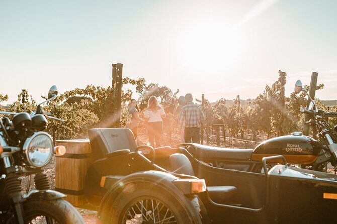 Scenic Sidecar Vineyard Tour Paso Robles - Who Would Love This Tour