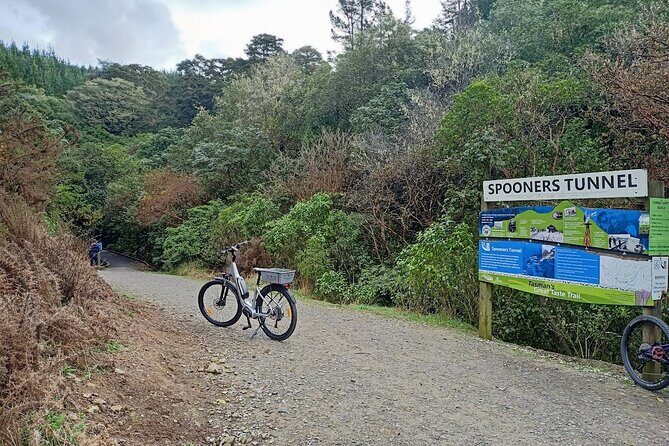 Scenic Spooners Tunnel Adventure in Nelson Tasman - A Thorough Breakdown of the Tour Experience