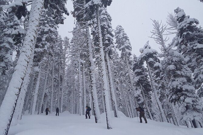 Scenic Sunset Snowshoe Tour - Final Thoughts: Who Will Love This Tour?