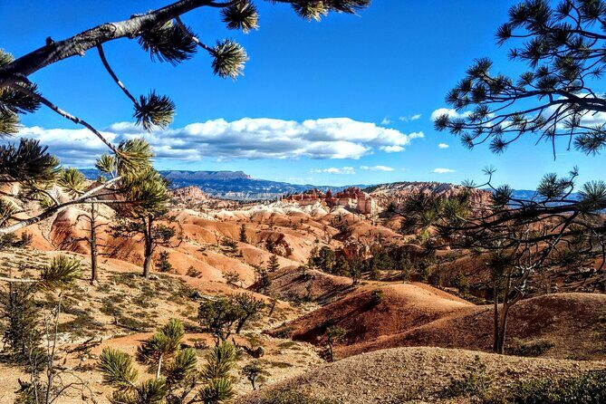 Scenic Tour of Bryce Canyon - An introduction to Bryce Canyons highlights — on your terms