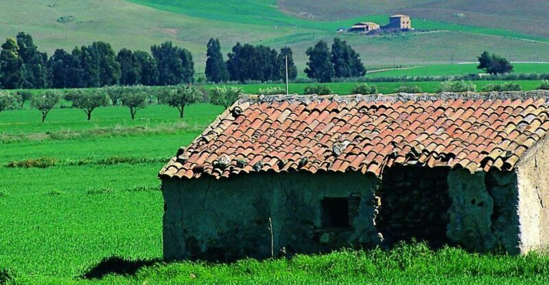 Scenic Tour of Etna foot hills and Alcantara Gorges - What Travelers Are Saying