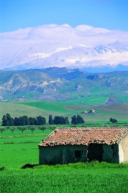 Scenic Tour of Etna foot hills and Alcantara Gorges - Who Will Enjoy This Tour?