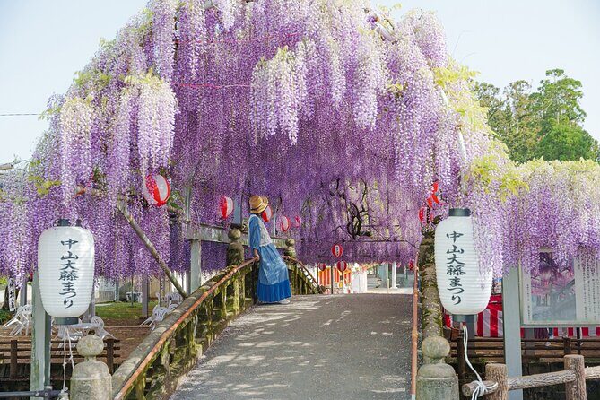 Scenic Tour of Kuroki and Nakayama Wisteria in Fukuoka - Key Points