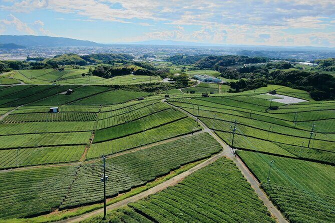 Scenic Tour of Kuroki and Nakayama Wisteria in Fukuoka - Practical Considerations
