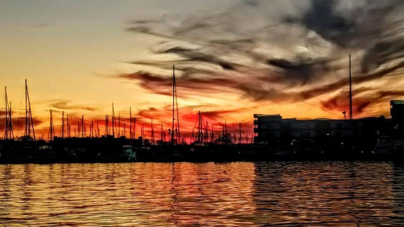 Scenic Wildlife Boat Cruise & Wine with a local Artist - Practical Details and Logistics