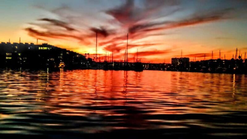 Scenic Wildlife Boat Cruise & Wine with a local Artist - What Our Reviewers Say