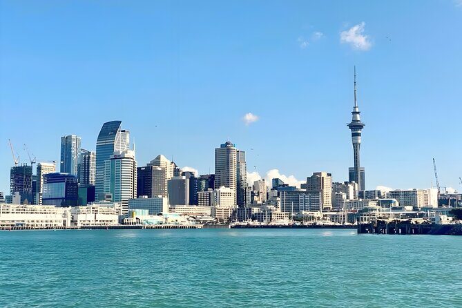 Scenic Wine and Cheese Auckland Harbour Cruise - Who Should Consider This Tour?