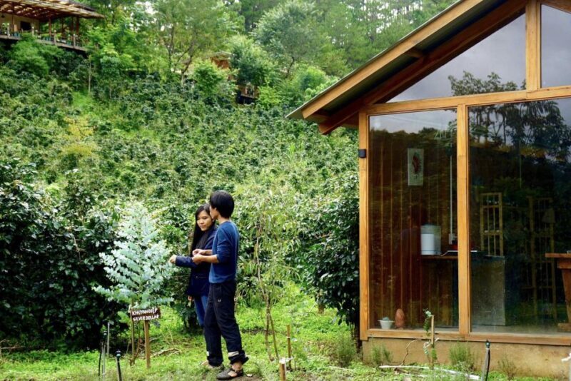 Scented candle workshop at Twin Beans Farm - Da Lat suburb - Key Points