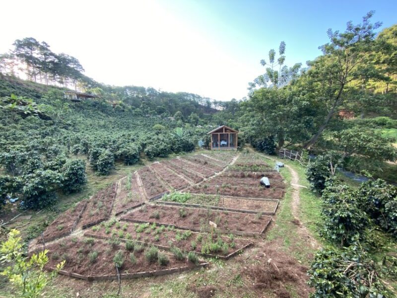 Scented candle workshop at Twin Beans Farm - Da Lat suburb - Practical Details and Considerations
