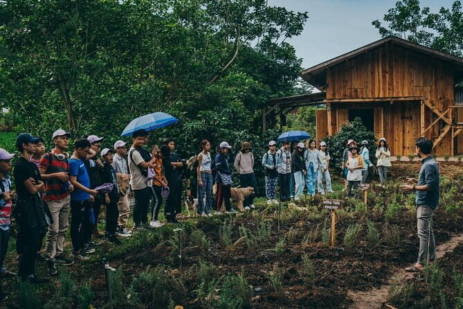 Scented Candle Workshop in Twin Beans Farm Da Lat - An Overview of What to Expect