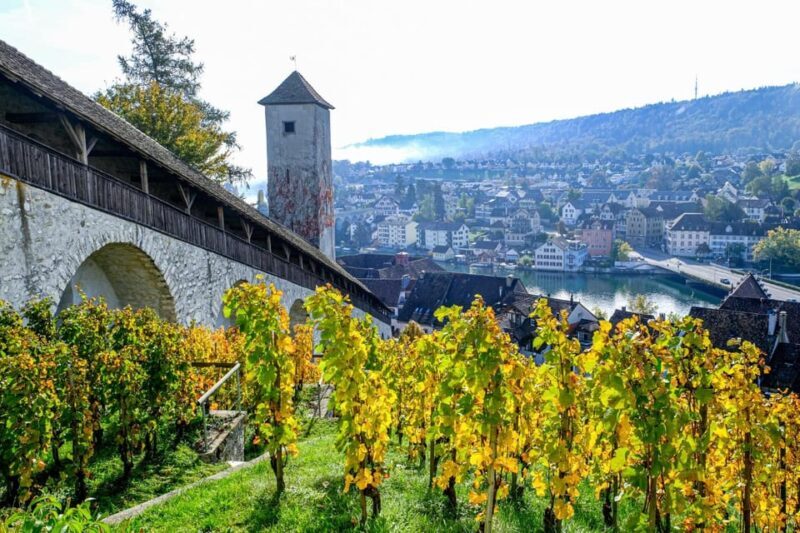 Schaffhausen: Express Walk with a Local in 60 minutes - Why Choose This Tour?