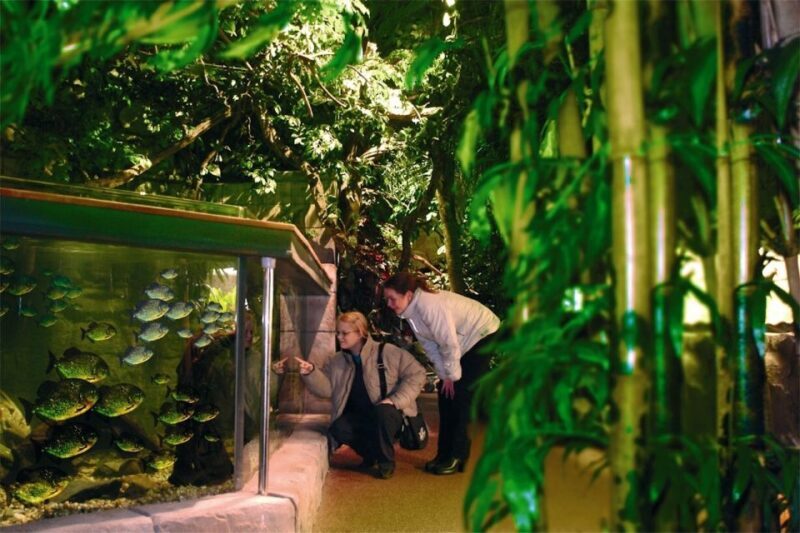 Scheveningen, The Hague: Sea Life Entry Ticket - Key Points