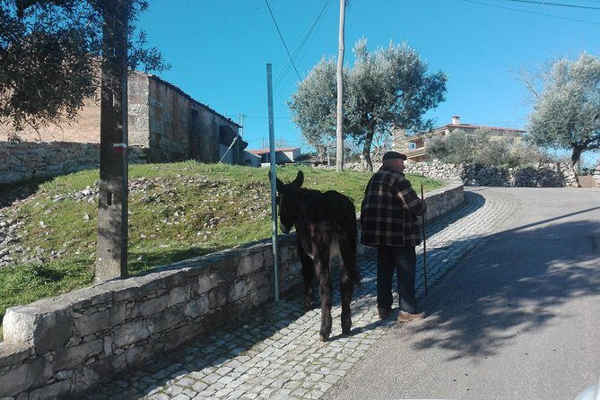 Schist Villages of Lousã, full-day from Coimbra - FAQs