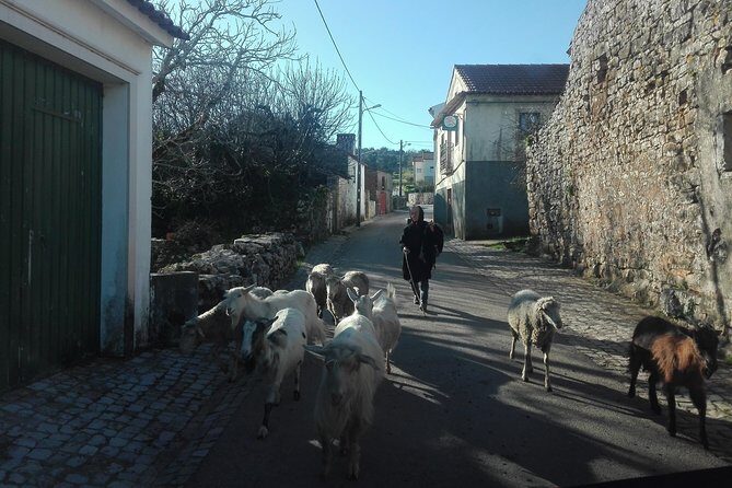 Schist Villages of Lousã, full-day from Coimbra - Final Thoughts: Who Is This Tour For?